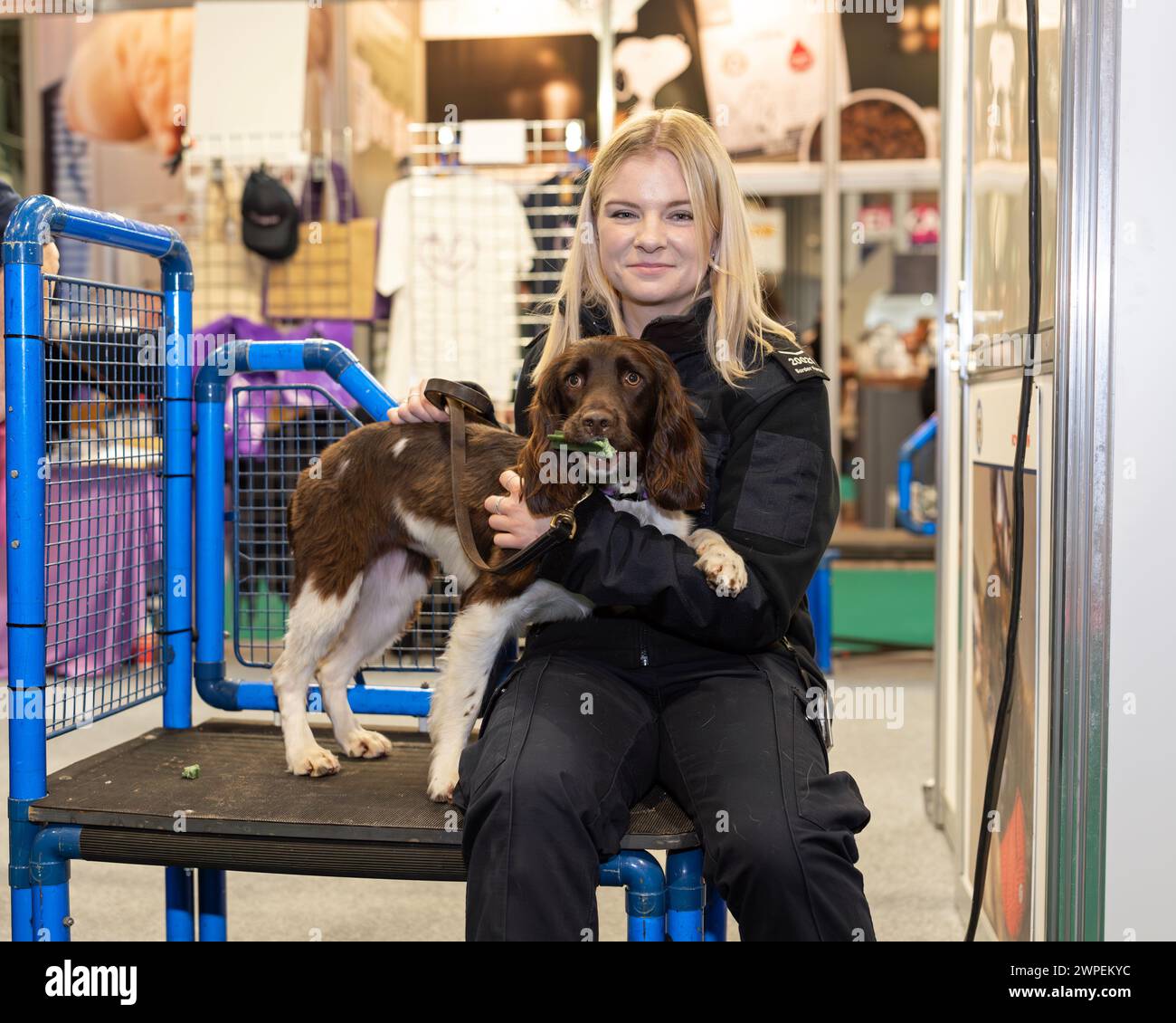Crufts 2024 discover dogs hi-res stock photography and images - Alamy