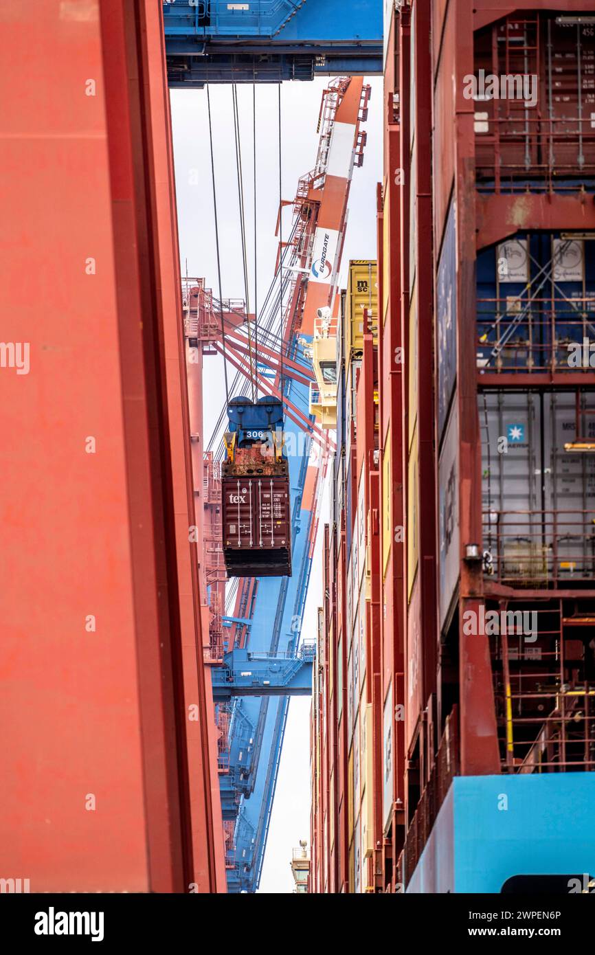 Entladen der Magleby Maersk Container Frachter im EUROGATE Container ...