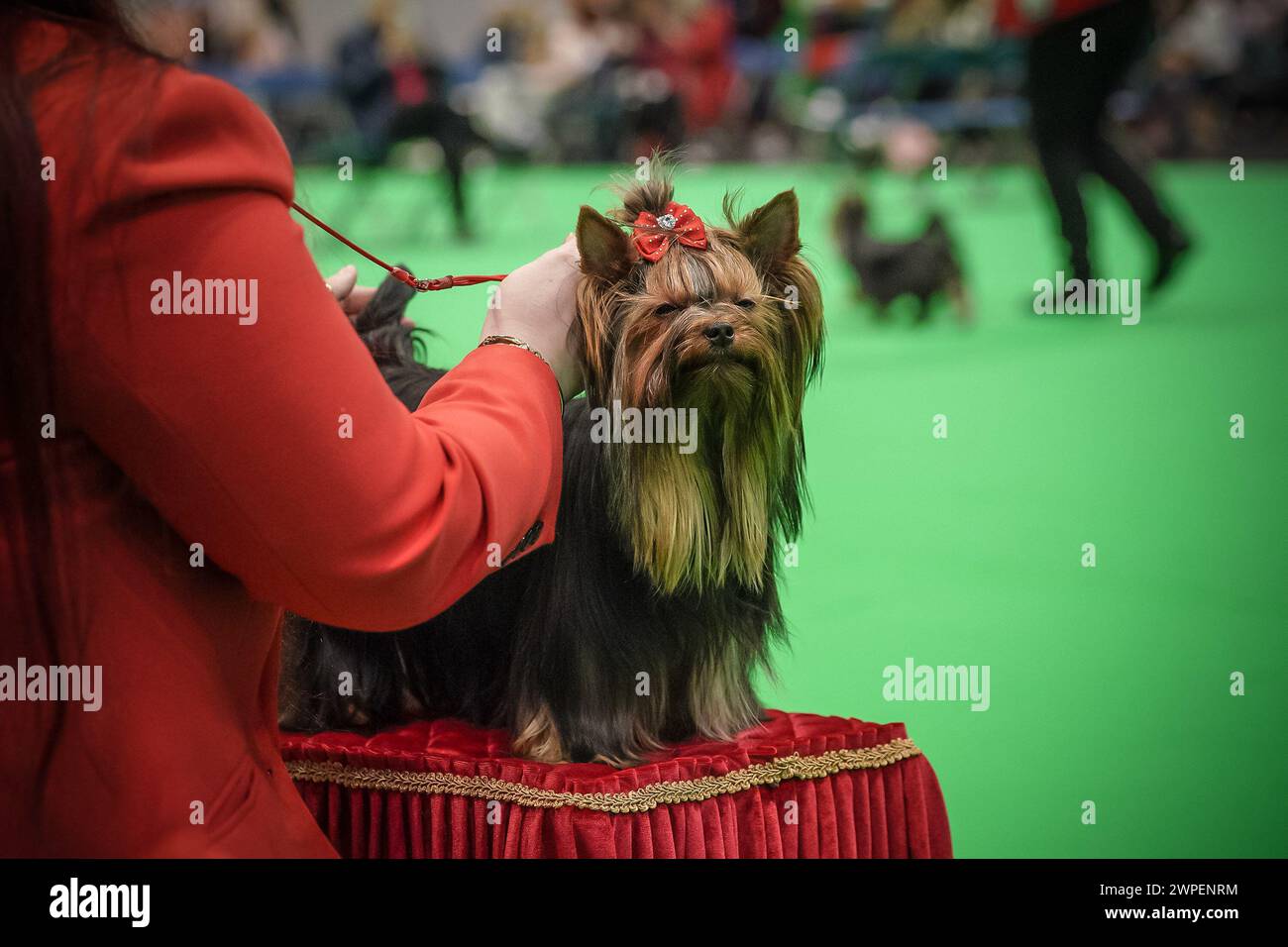 Birmingham, UK. 7th March 2024. Crufts 2024: Day 1 of the world famous ...