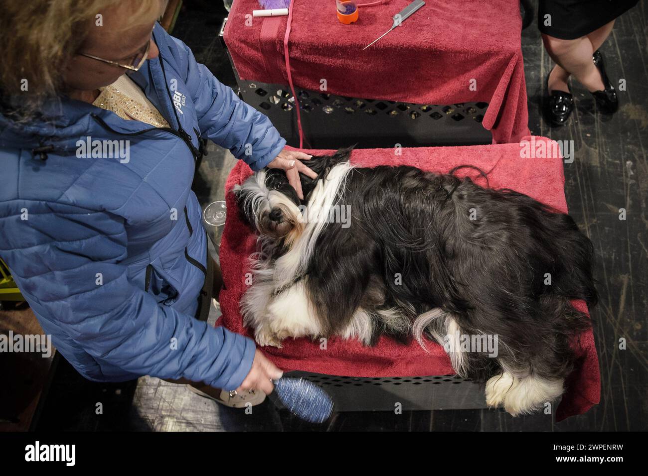 Birmingham, UK. 7th March 2024. Crufts 2024: Day 1 of the world famous ...