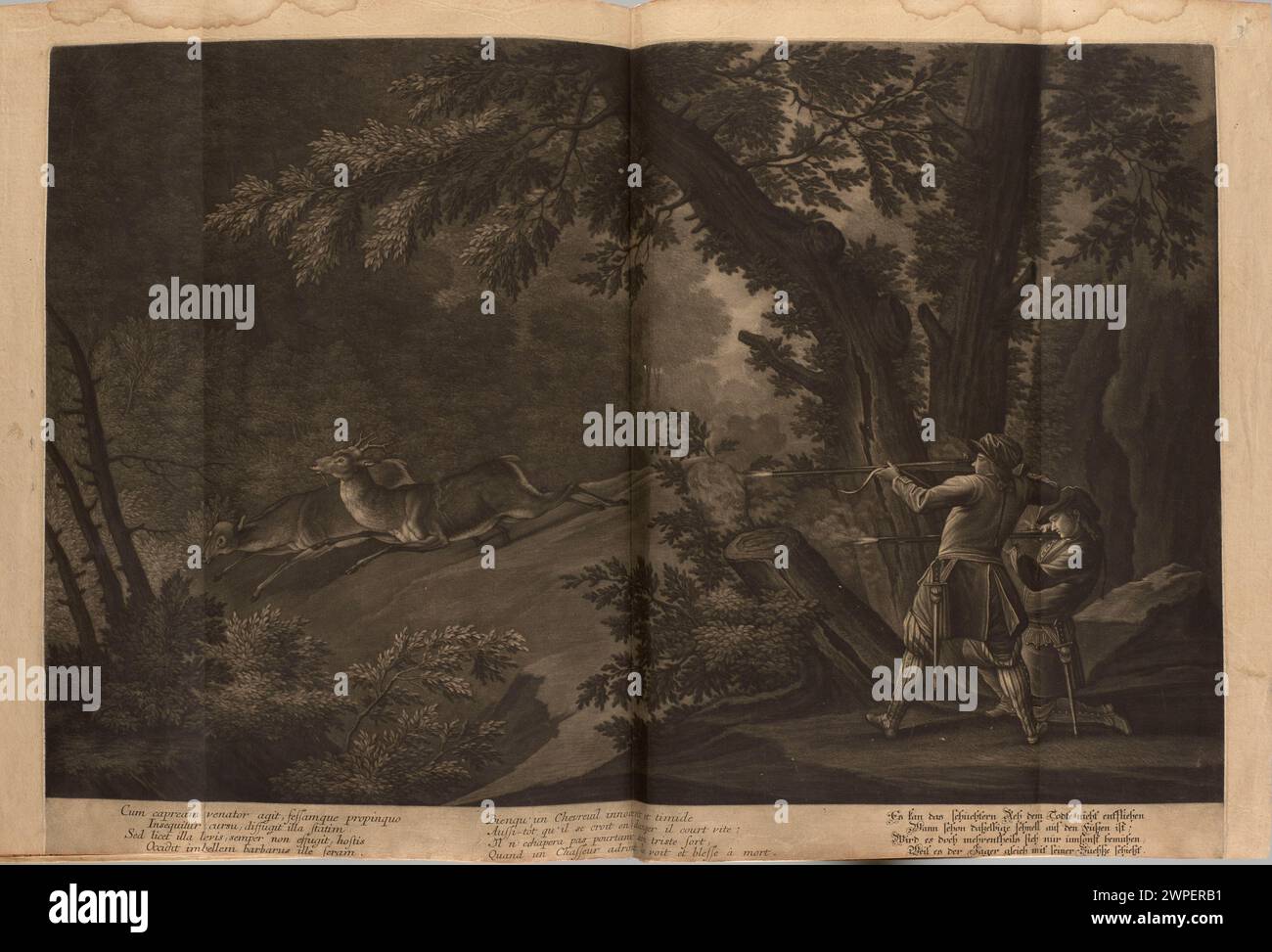 Deer hunt; Ridinger, Johann Elias (1698-1767); 18th century (1700-00-00 ...