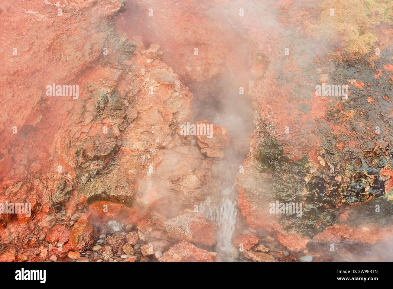 Geothermal hot springs with steam, colorful mineral deposits and living ...