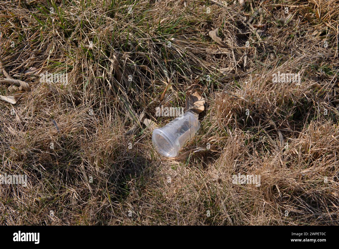 Litter (plastic cup) along a roadside Stock Photo - Alamy