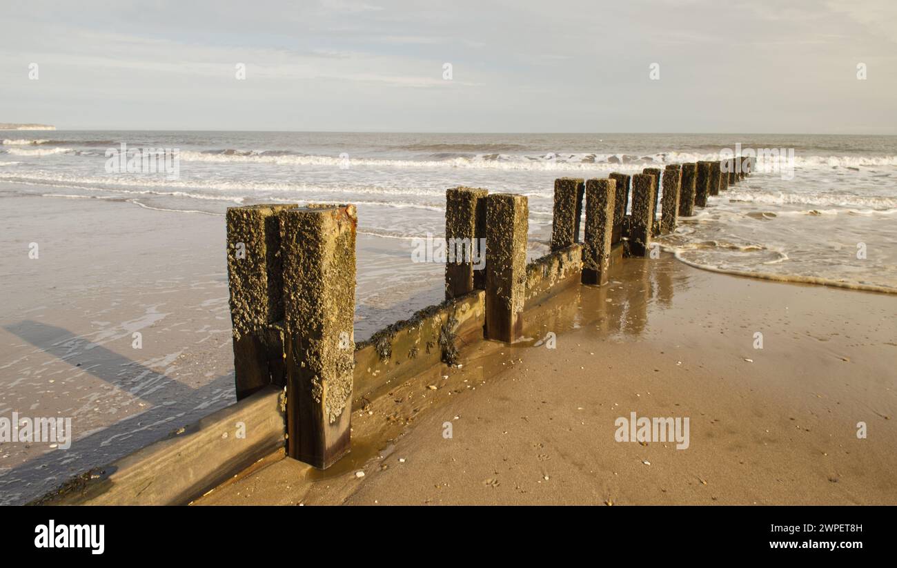 Groynes on the beach at Bridlington in Yorkshire protecting the ...