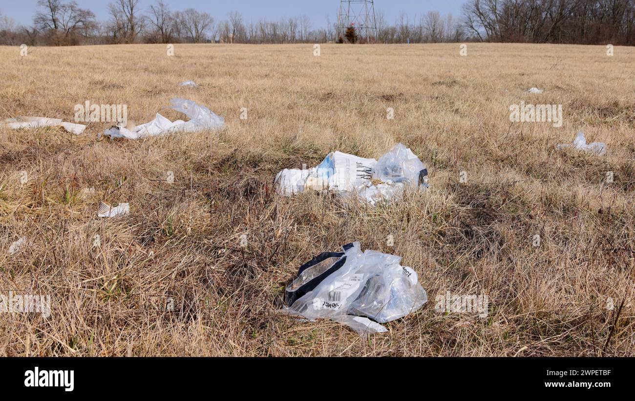 Weathered cardboard box and plastics dumped as trash in a wide open ...