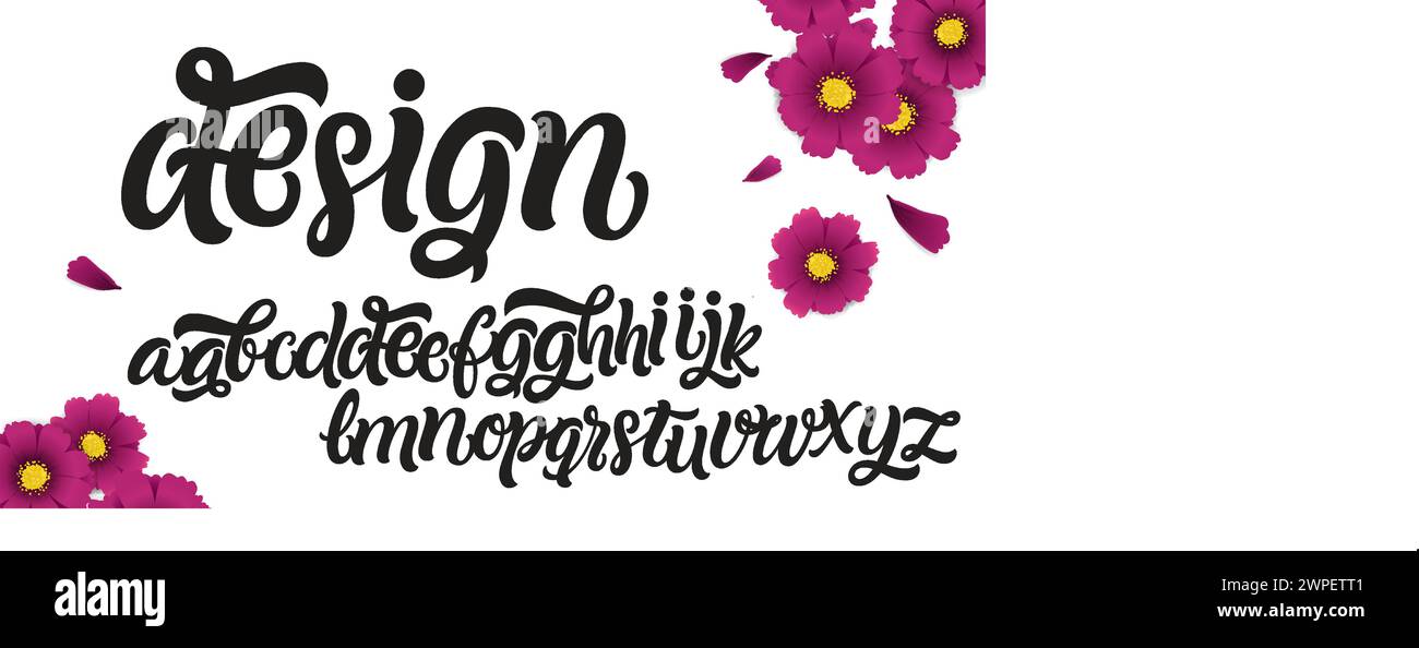 Vector Hand Drawn Alphabet. Brush Paint Letters. Decorative script ...