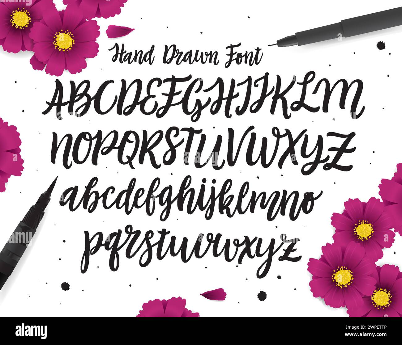 Vector Hand Drawn Alphabet. Brush Paint Letters. Decorative script ...