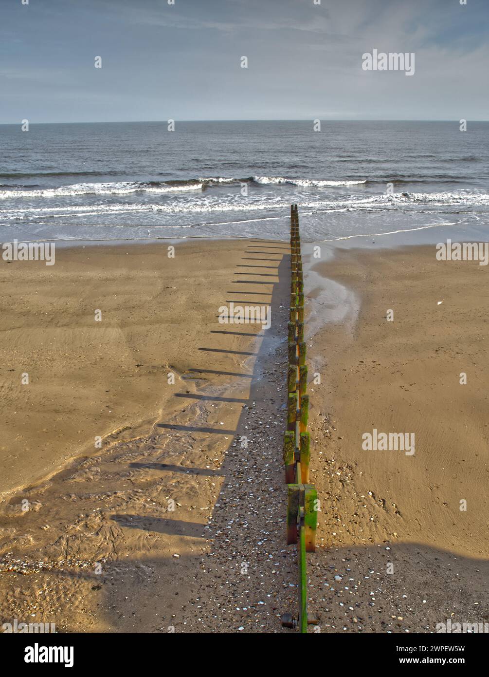 Groynes on the beach at Bridlington in Yorkshire protecting the ...