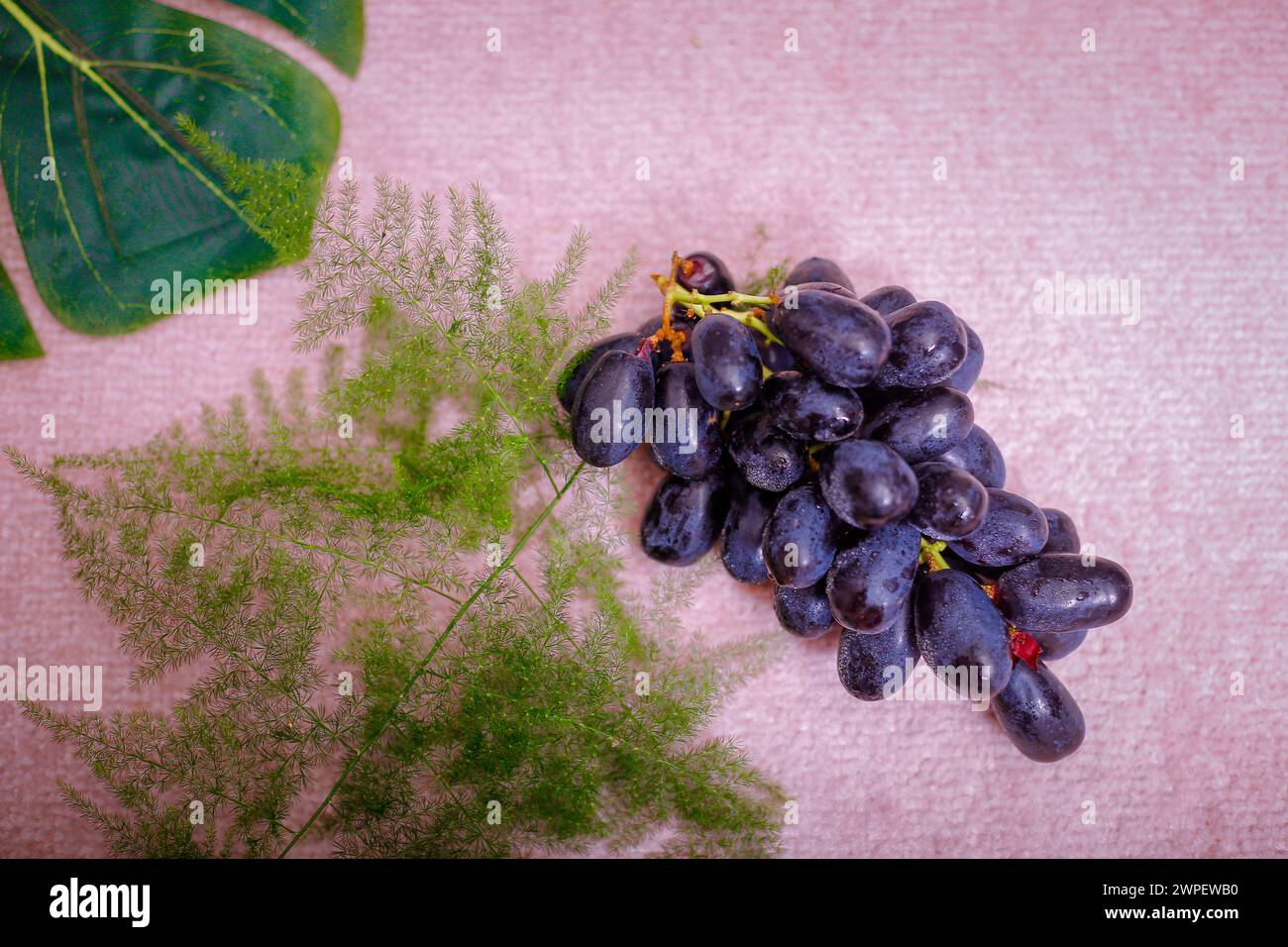 Top view Purple grape branch isolated over background Stock Photo - Alamy