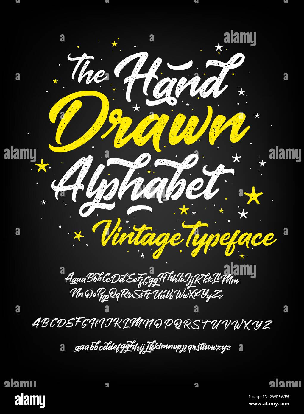 Vector Hand Drawn Alphabet. Brush Paint Letters. Decorative script ...
