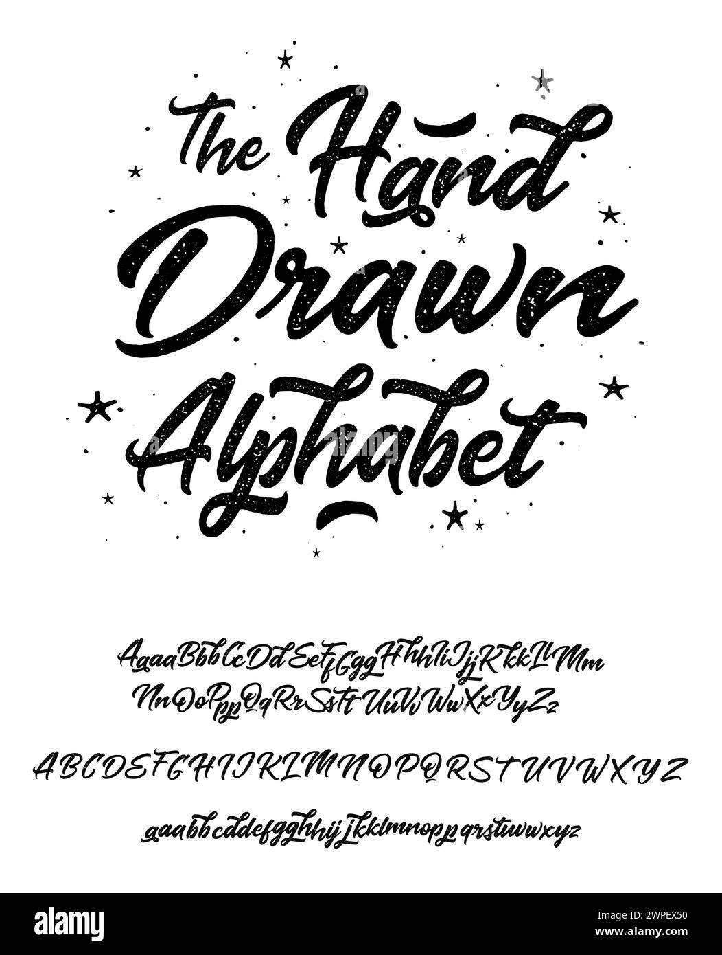 Vector Hand Drawn Alphabet. Brush Paint Letters. Decorative script ...