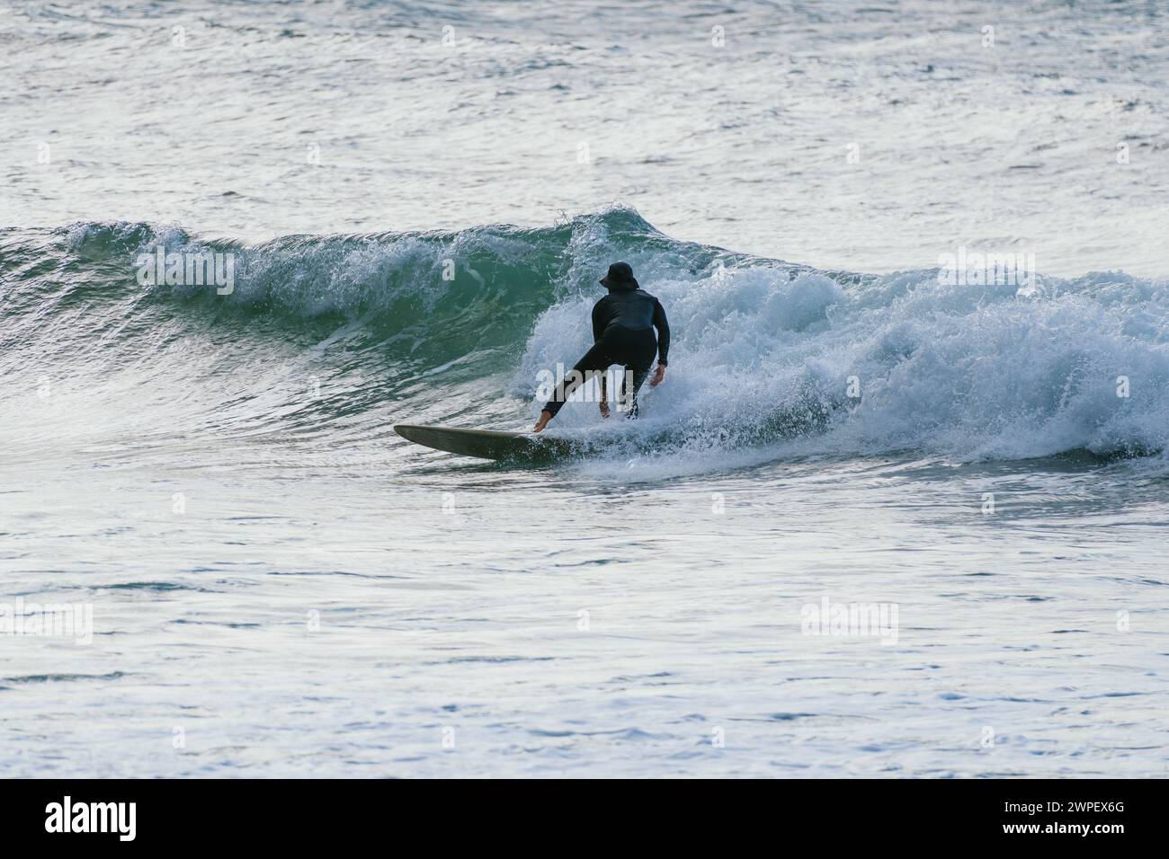 Surfer riding wave reef hi-res stock photography and images - Alamy