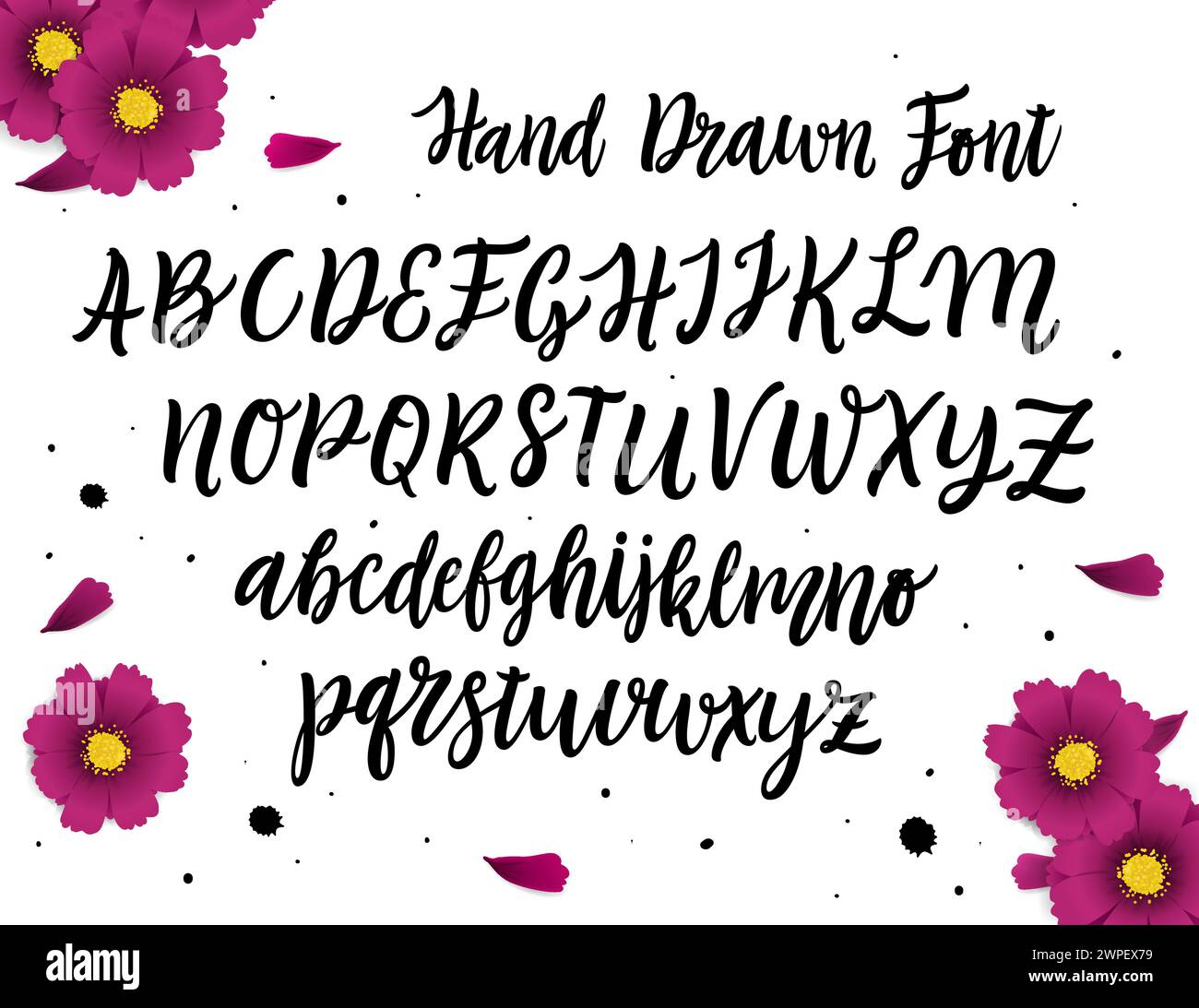 Lettering font isolated on white background. Texture alphabet. Vector ...