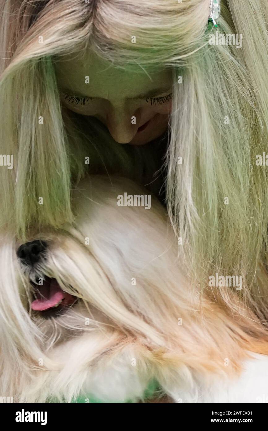A handler with her Lhasa Apso in the showring during the first day of ...