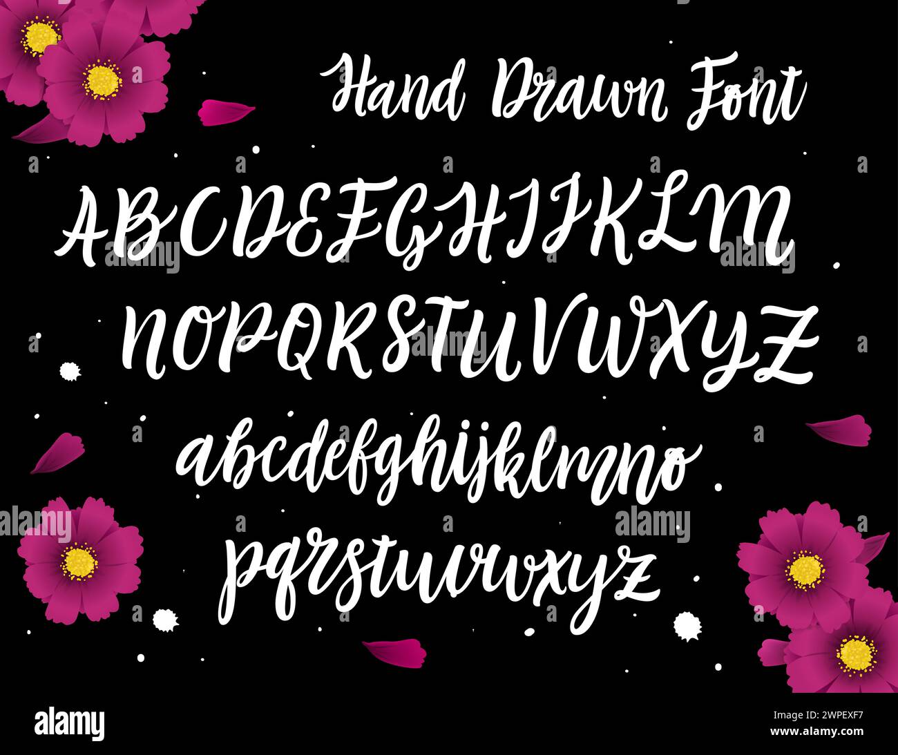 Lettering font isolated on white background. Texture alphabet. Vector ...