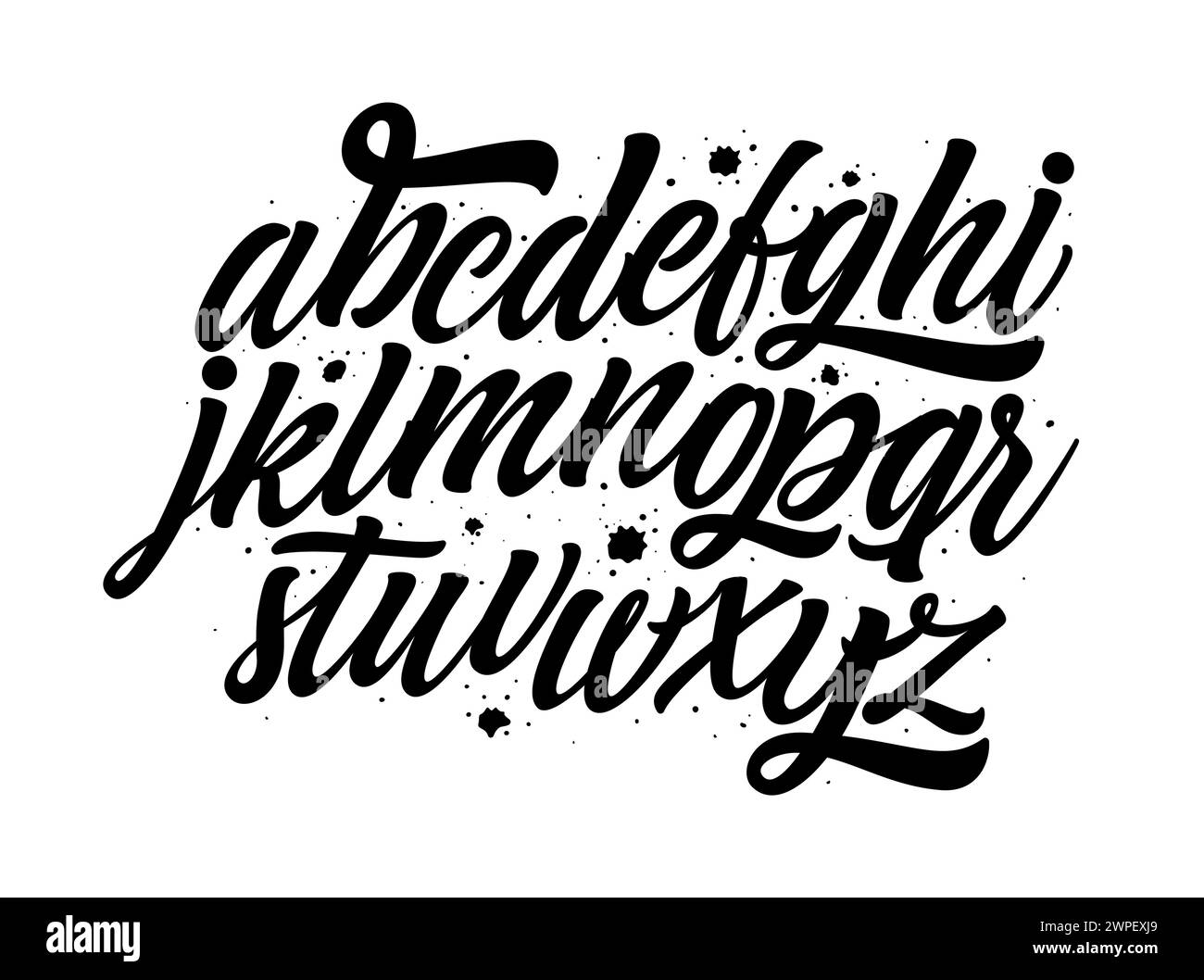 Vector Hand Drawn Alphabet. Brush Paint Letters. Decorative script ...