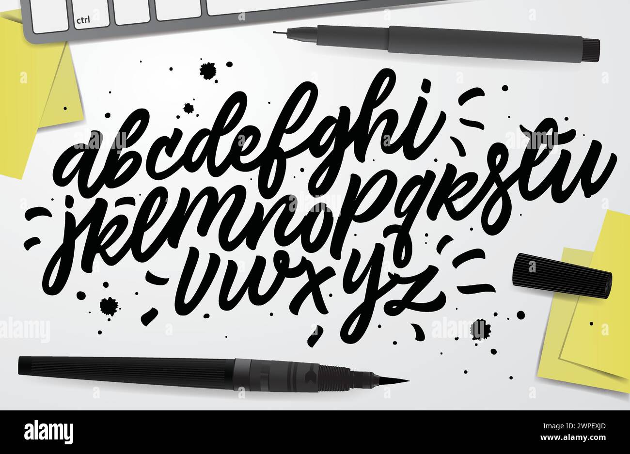 Vector Hand Drawn Alphabet. Brush Paint Letters. Decorative script ...
