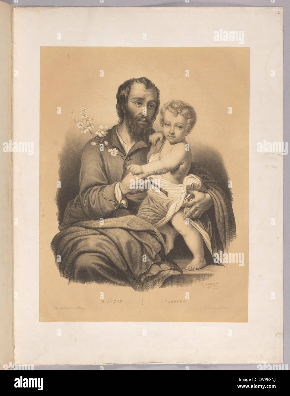 Lemercier rose joseph hi-res stock photography and images - Alamy