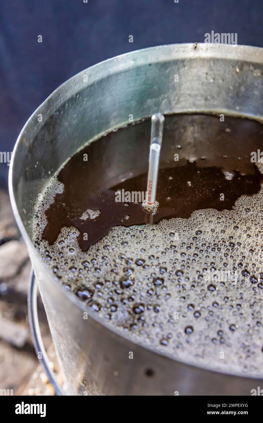 Maple syrup hydrometer hi-res stock photography and images - Alamy