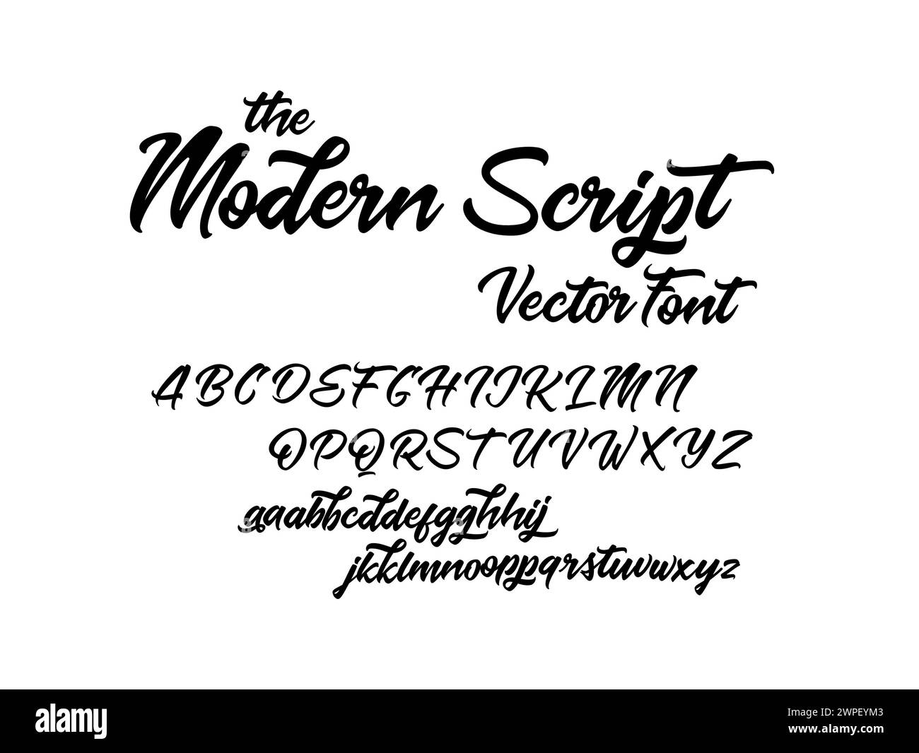 Vector Hand Drawn Alphabet. Brush Paint Letters Stock Vector Image ...