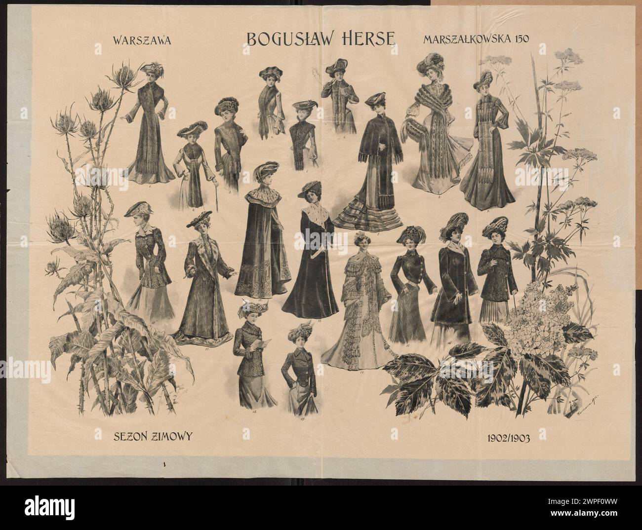 Herse boguslaw hi-res stock photography and images - Alamy