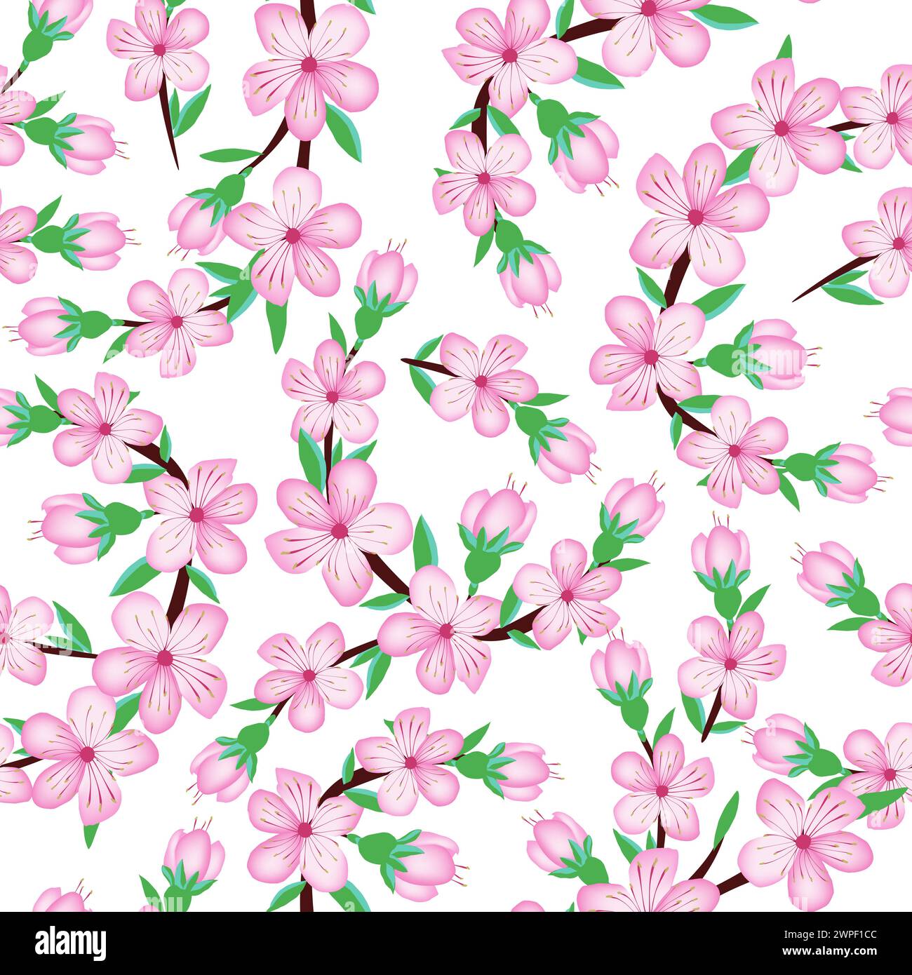 Sakura cherry blossom flower seamless pattern on light background for ...