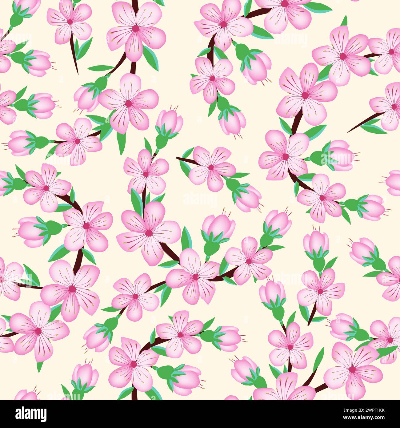 Sakura cherry blossom flower seamless pattern on light background for ...