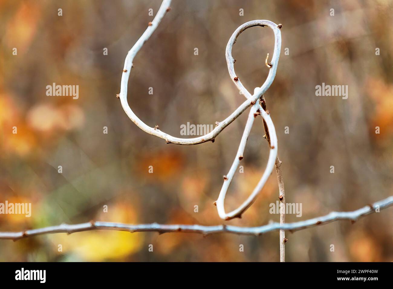 Eight numbers hi-res stock photography and images - Alamy