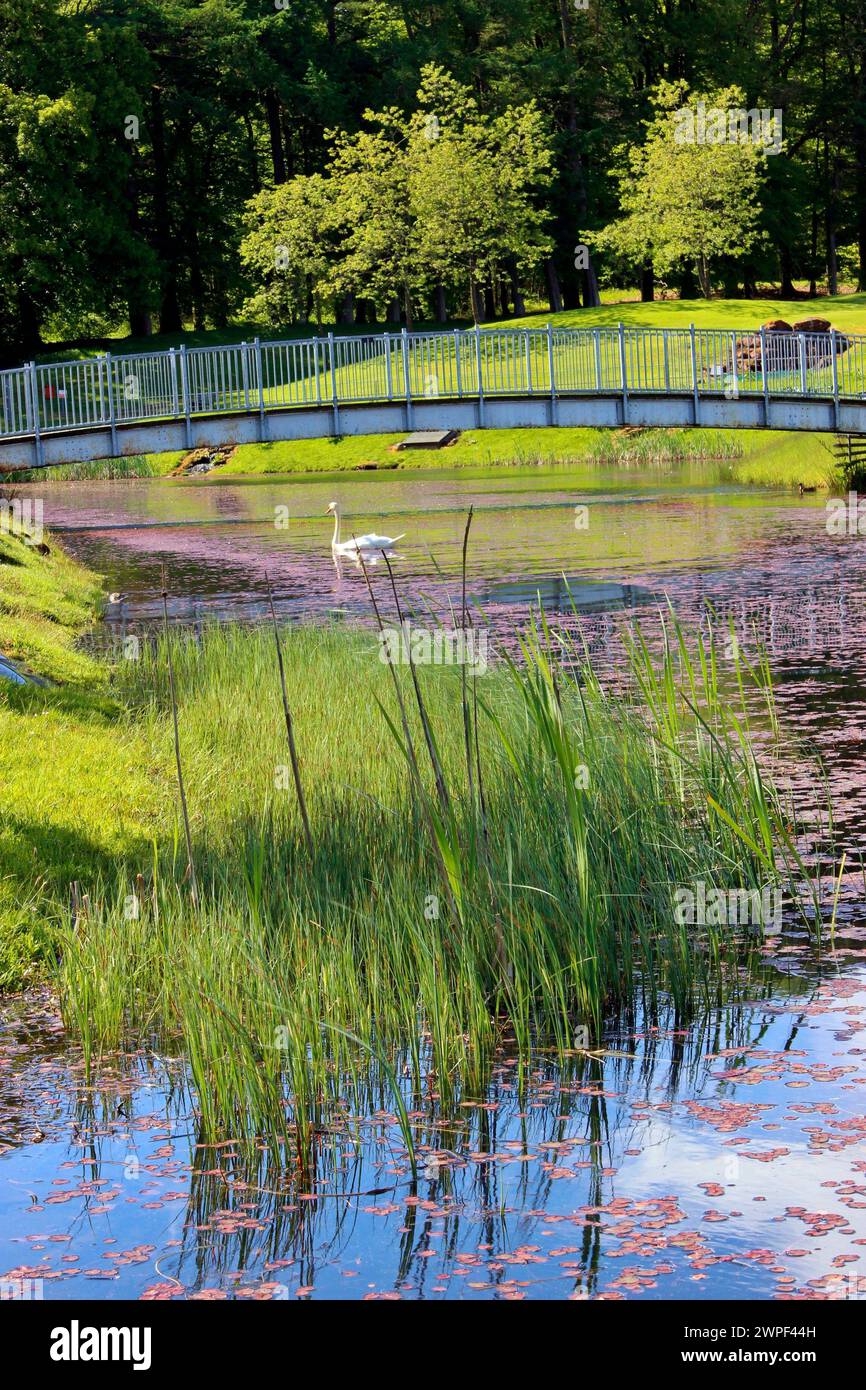 Village of lily lake hi-res stock photography and images - Alamy