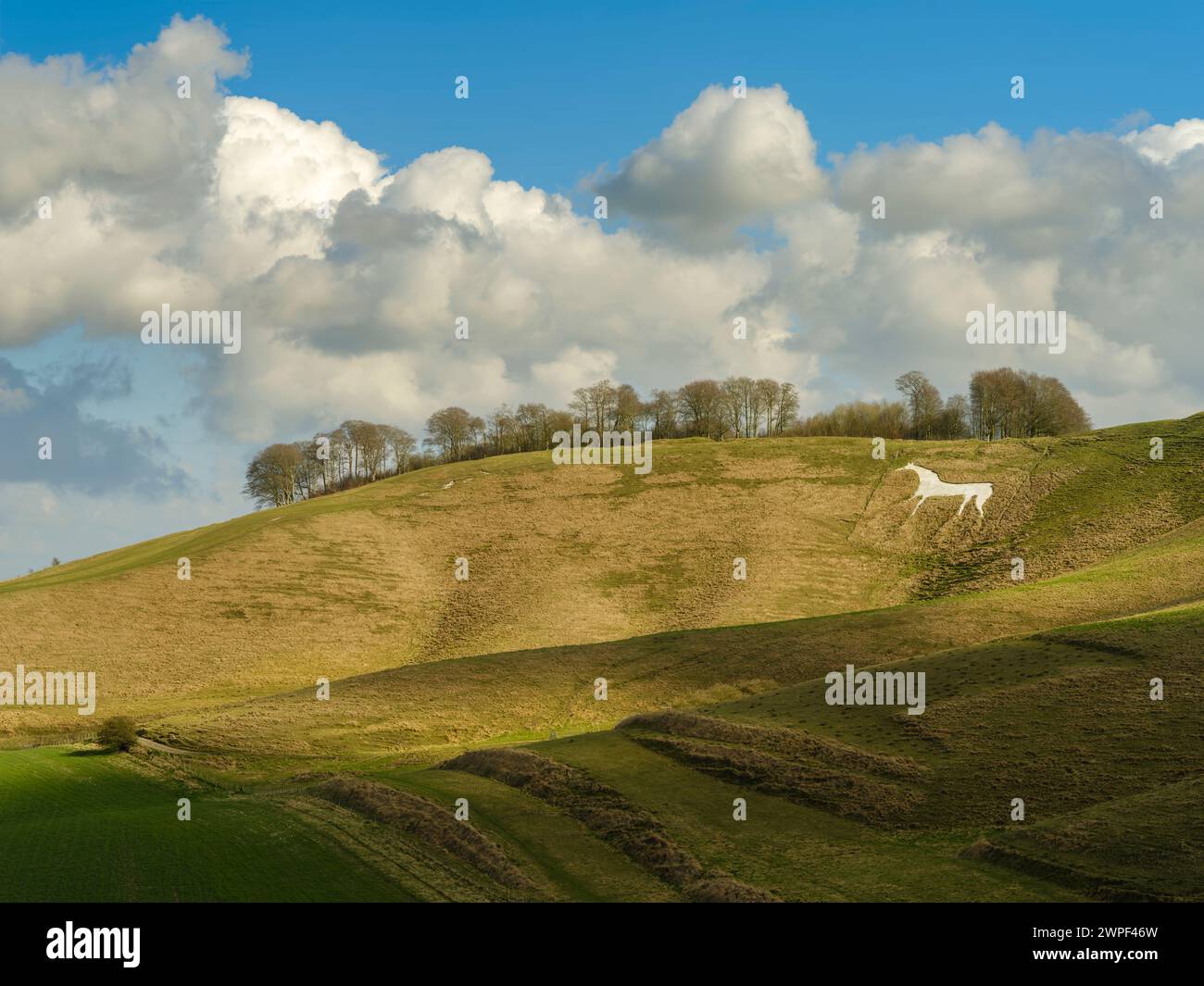 First cut in 1780 by Dr Christopher Alsop, the Cherhill White Horse was ...