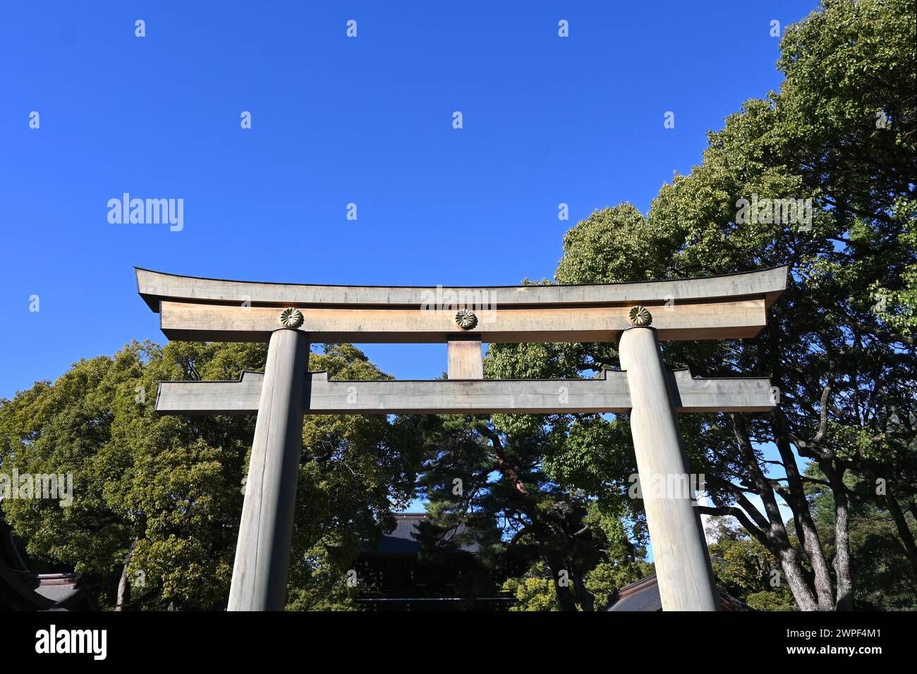 Torii gate at Meiji jingu shinto shrine on a sunny day – Shibuya, Tokyo ...