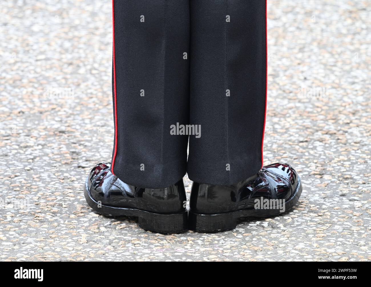 Major general james bowder commanding the household division hi-res ...