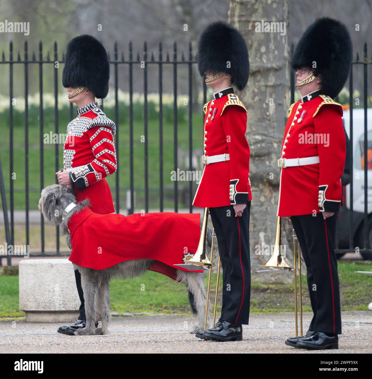 General mor hi-res stock photography and images - Alamy