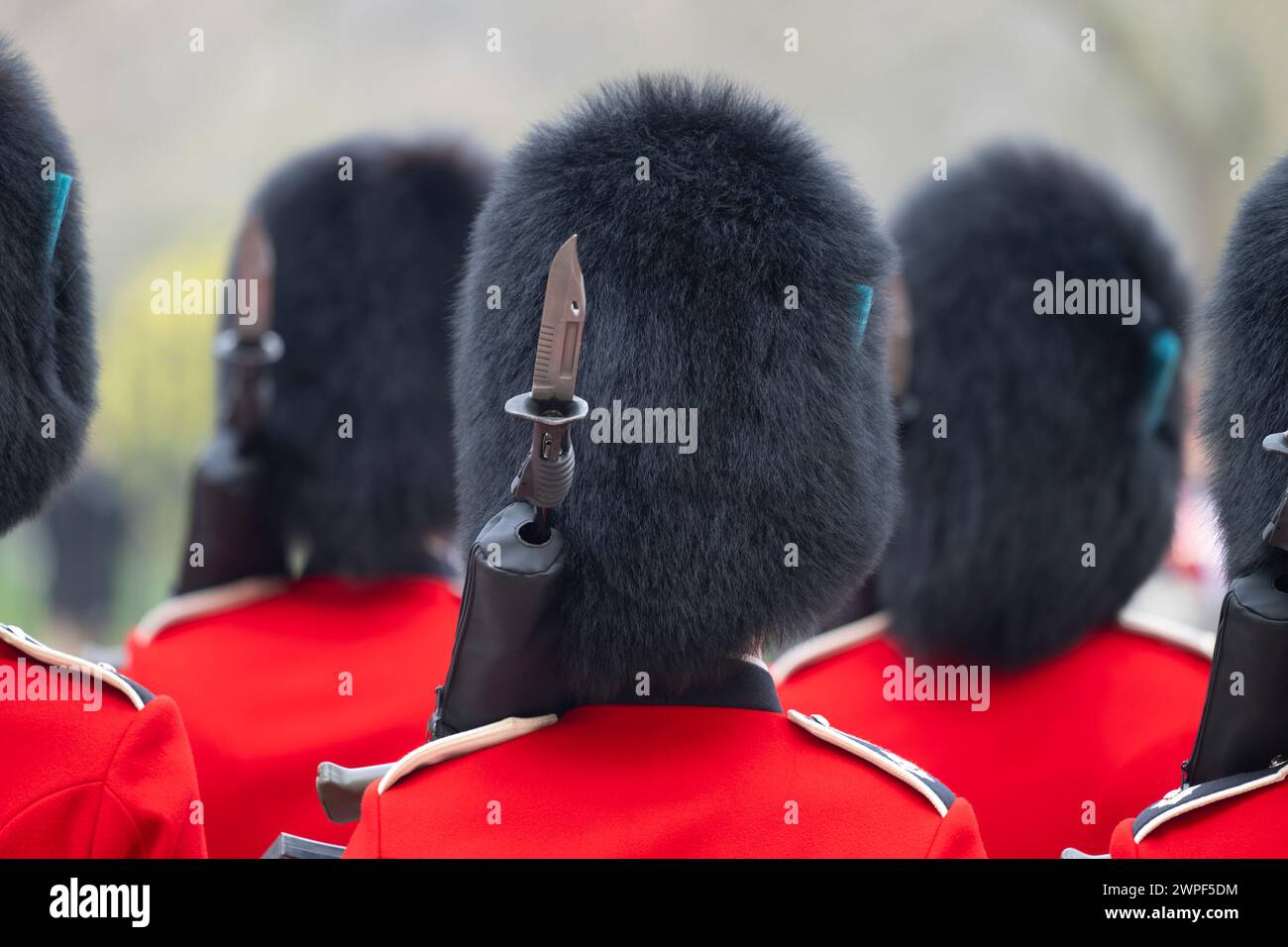 Uniformize hi-res stock photography and images - Alamy
