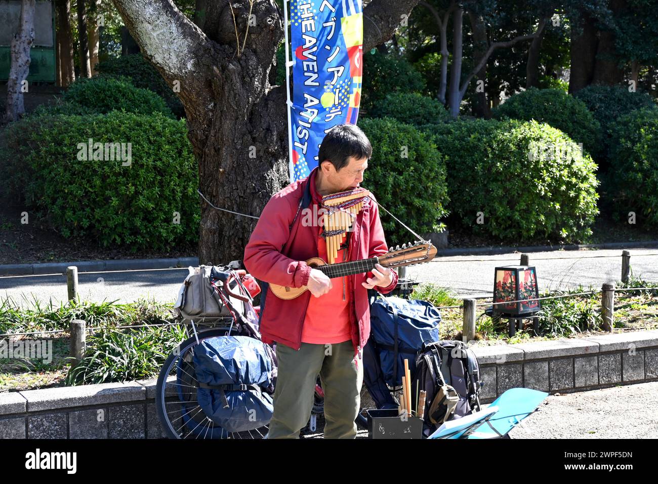 Peruvian musician playing panpipes and a charango in ueno park – Taito ...