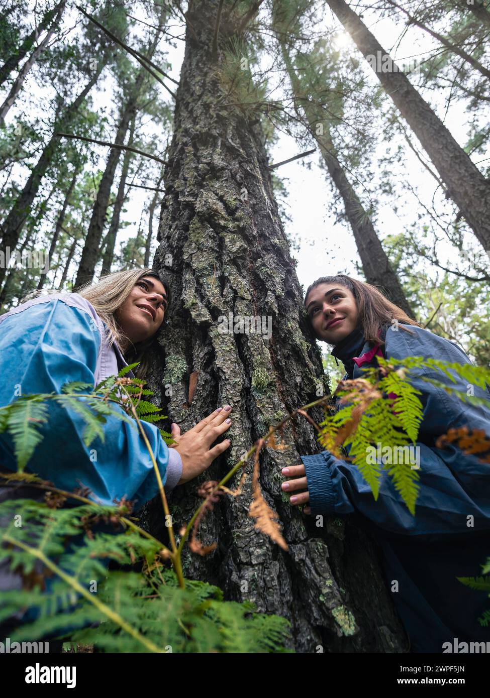 Two smiling girls leaning their faces against a tree. Love of nature ...