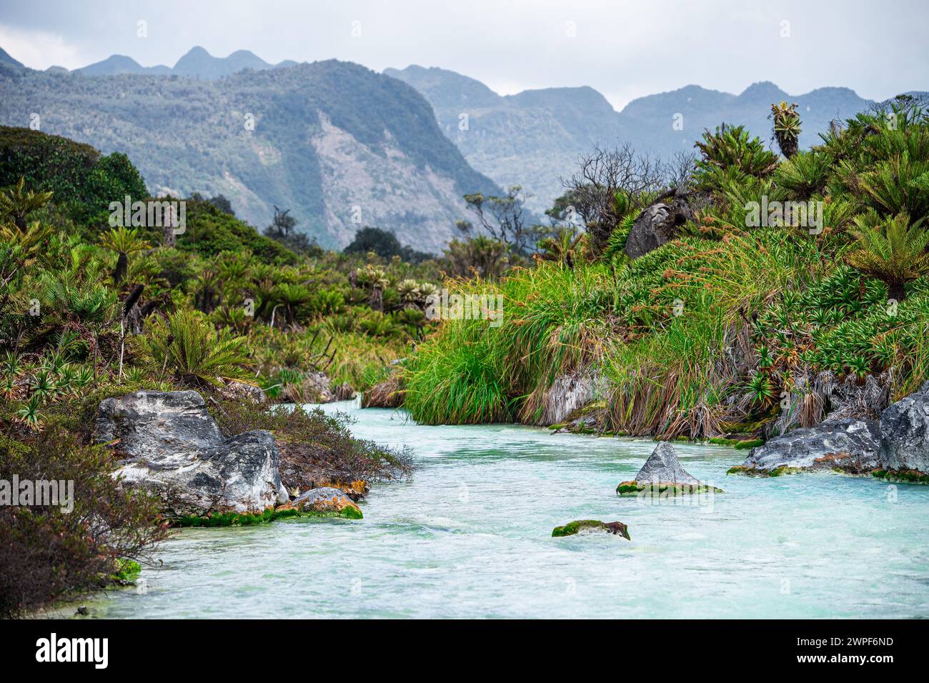 Puracé National Park, Cauca, Colombia Stock Photo - Alamy