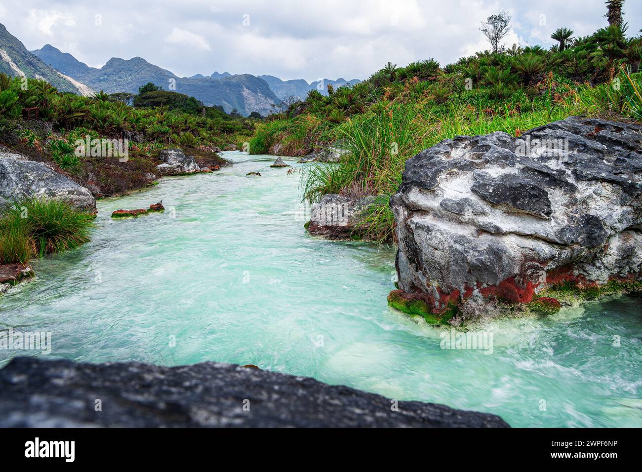 Puracé National Park, Cauca, Colombia Stock Photo - Alamy