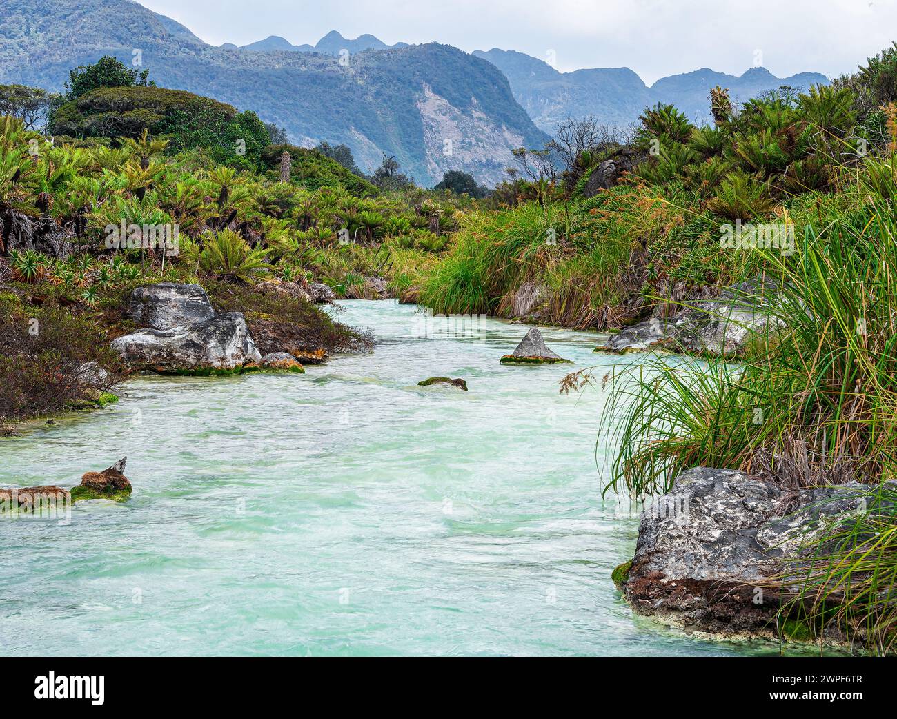 Puracé National Park, Cauca, Colombia Stock Photo - Alamy