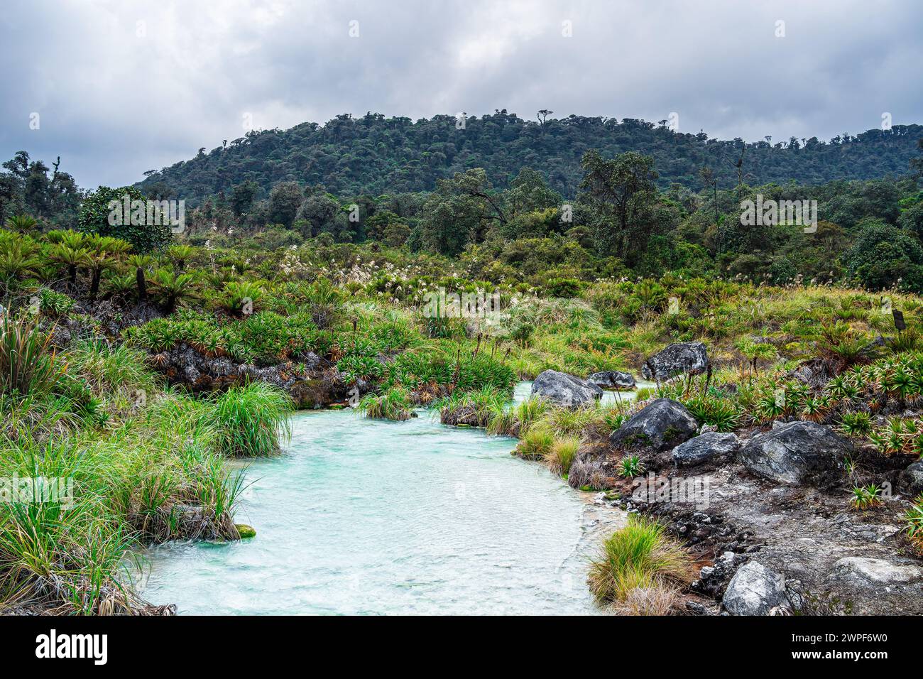 Puracé National Park, Cauca, Colombia Stock Photo - Alamy