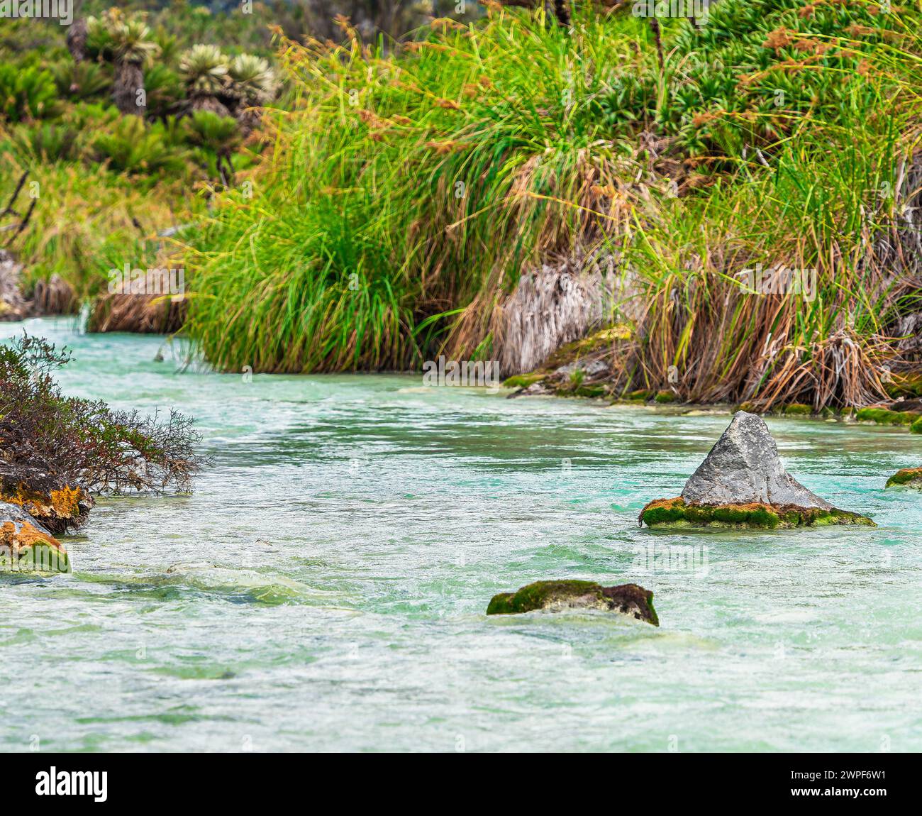 Puracé National Park, Cauca, Colombia Stock Photo - Alamy