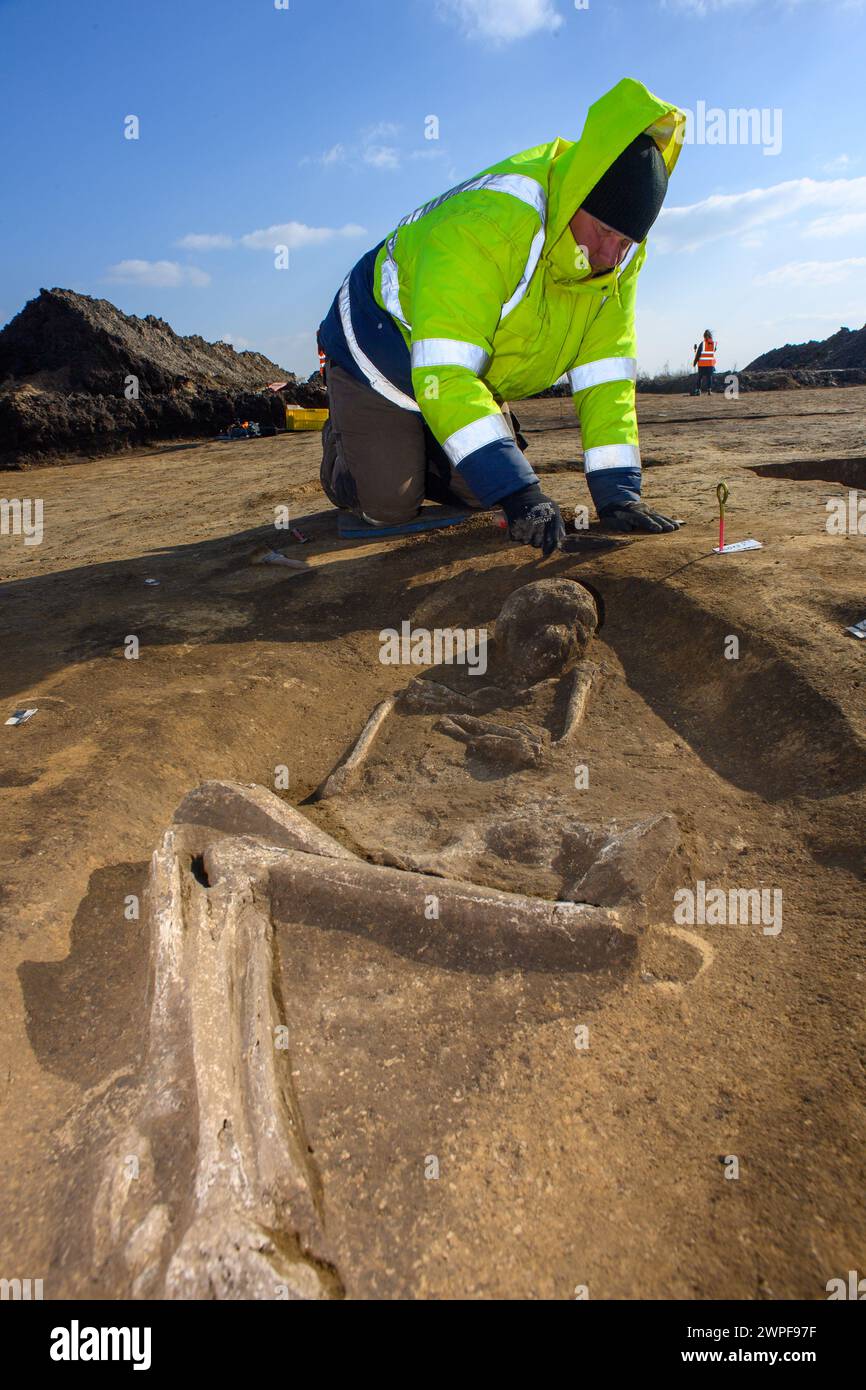 Magdeburg, Germany. 07th Mar, 2024. An archaeologist from the Saxony ...