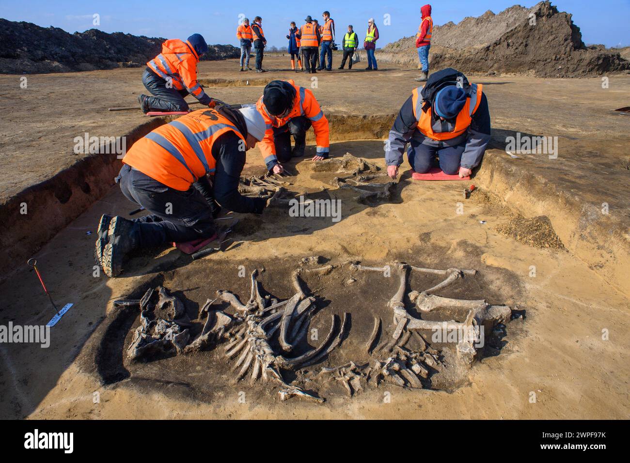 Globular amphora culture hi-res stock photography and images - Alamy