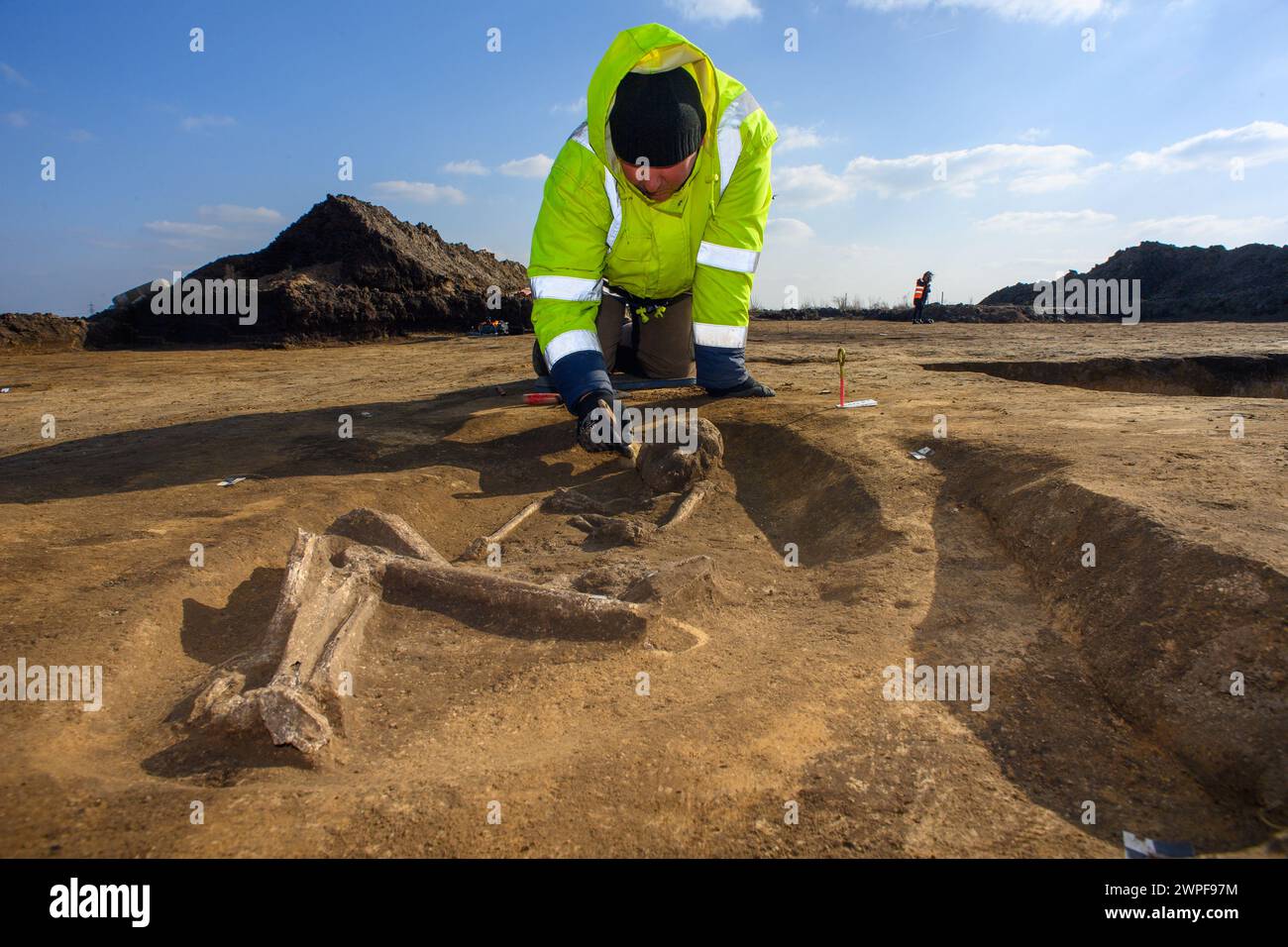 Magdeburg, Germany. 07th Mar, 2024. An archaeologist from the Saxony ...