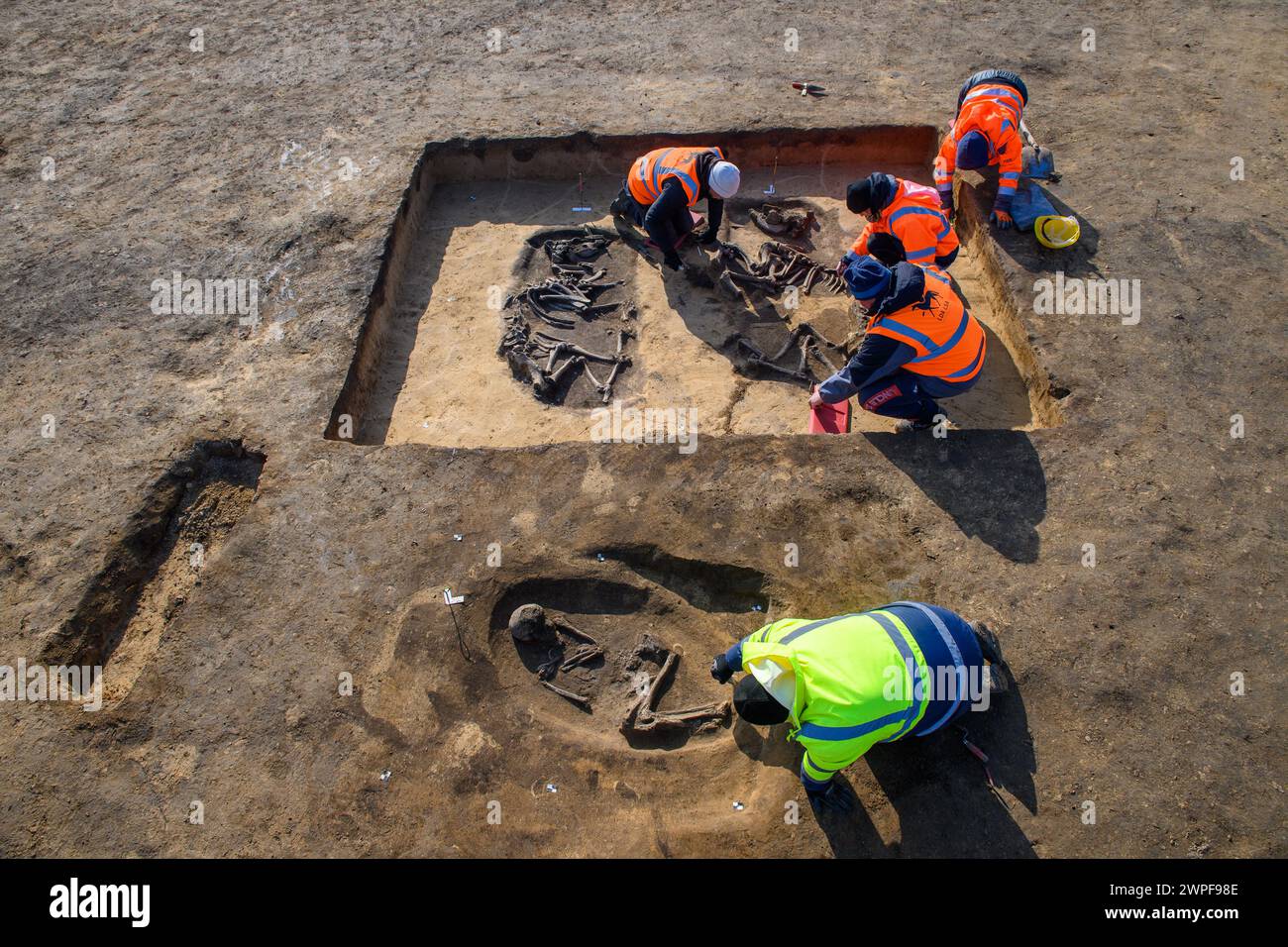 Magdeburg, Germany. 07th Mar, 2024. Archaeologists from the Saxony ...