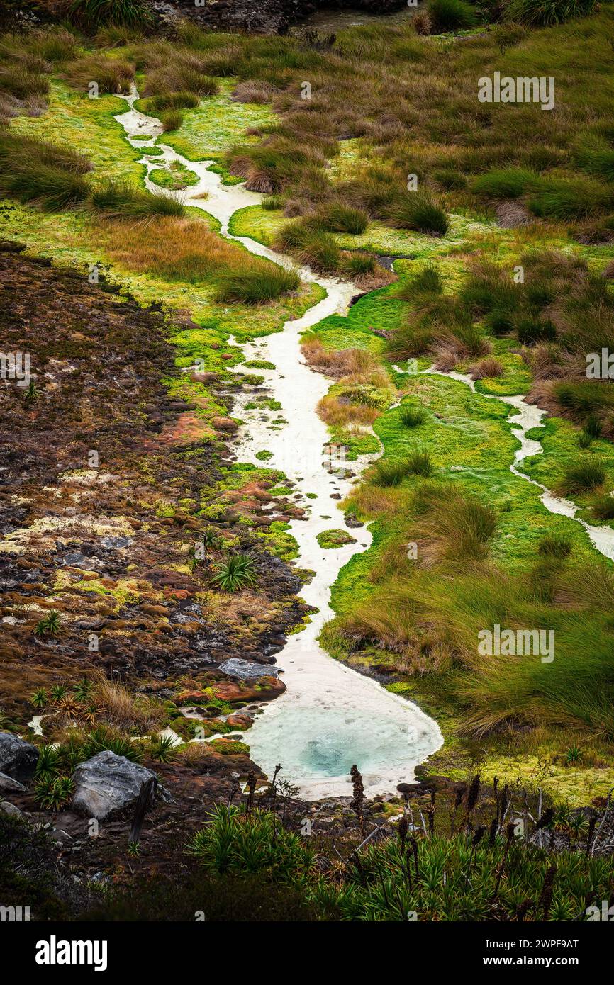Purace colombia hi-res stock photography and images - Alamy