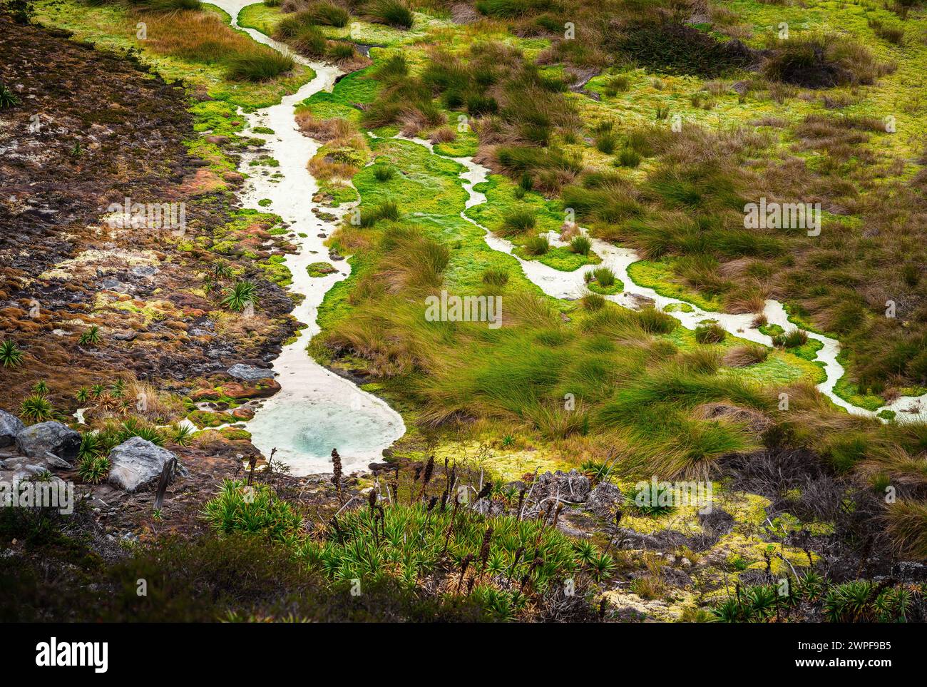 Puracé National Park, Cauca, Colombia Stock Photo - Alamy