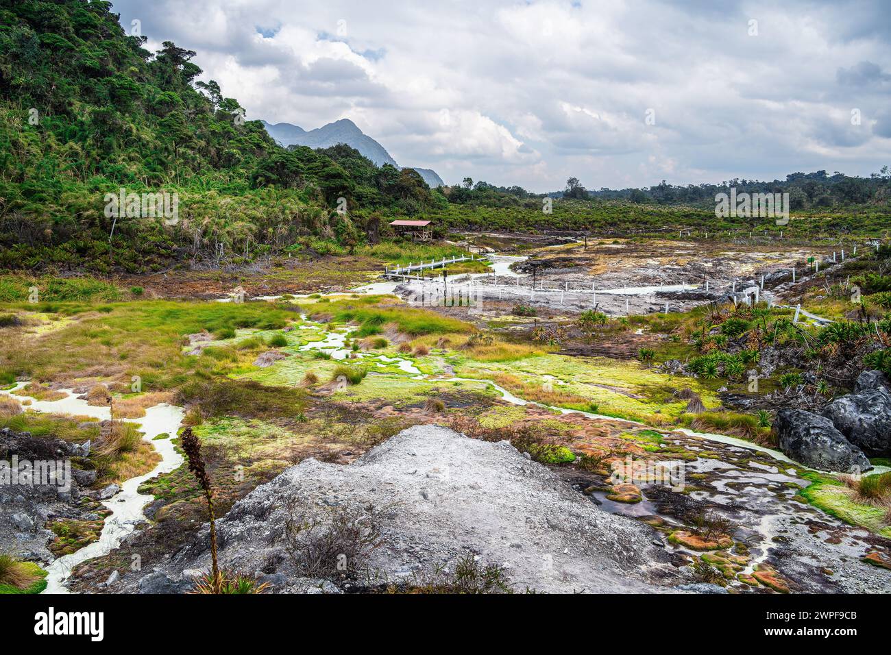 Puracé National Park, Cauca, Colombia Stock Photo - Alamy
