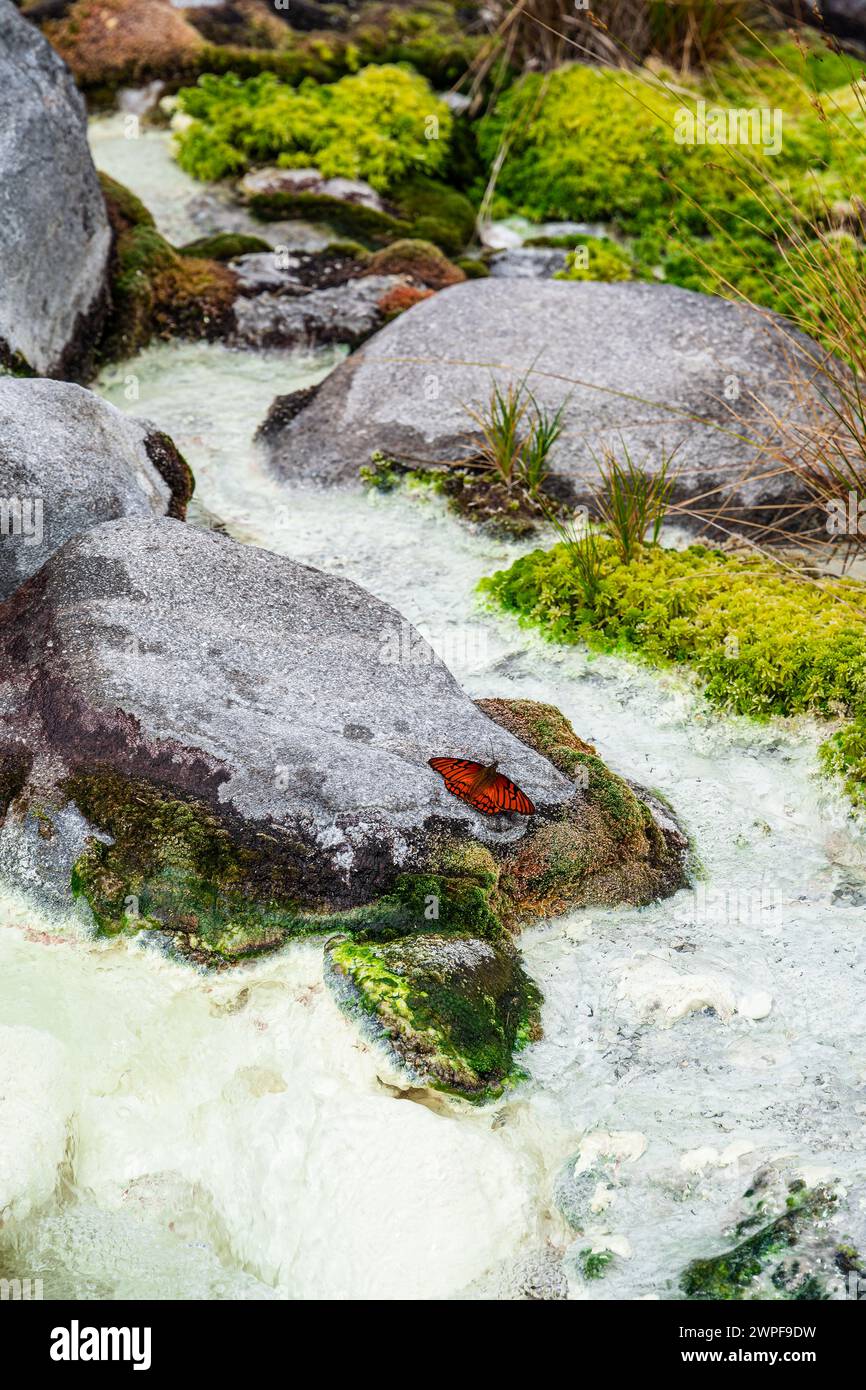 Puracé National Park, Cauca, Colombia Stock Photo - Alamy