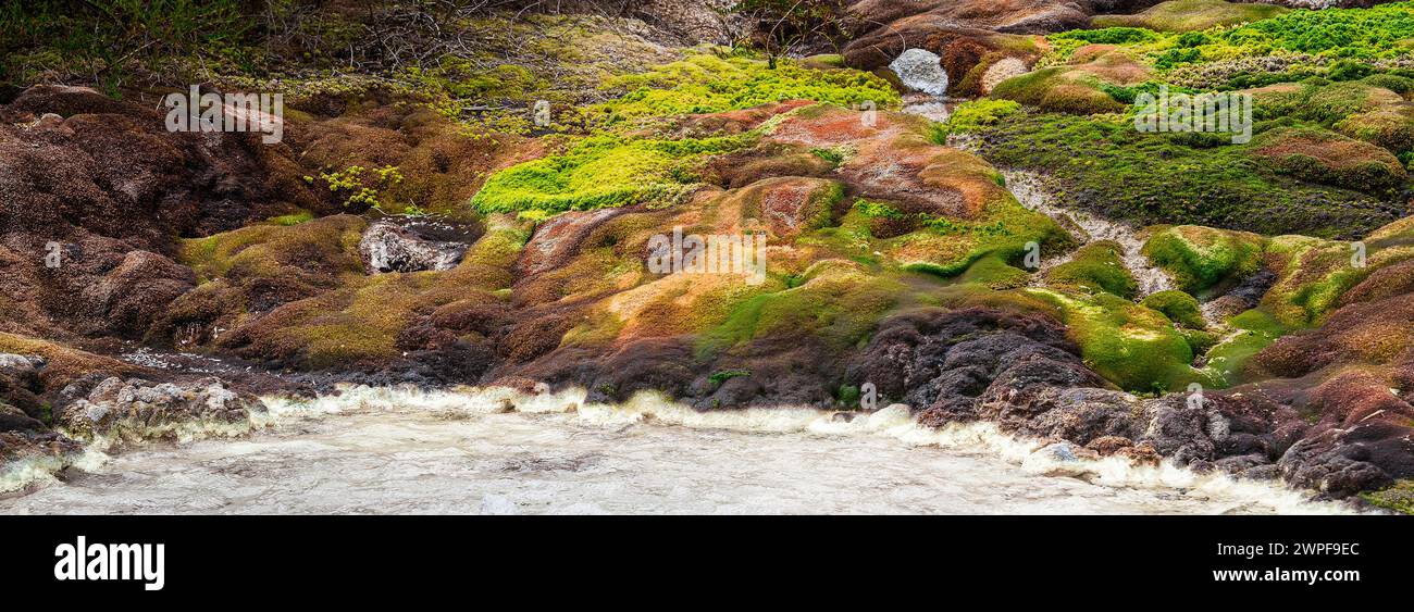 Purace colombia hi-res stock photography and images - Alamy